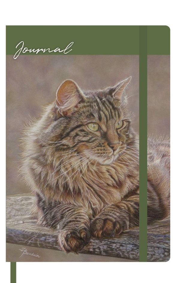 Pine Ridge Art – Pineridgeart